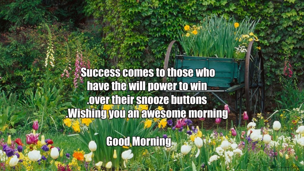 Good Morning Bestie Quotes Messages Images - download