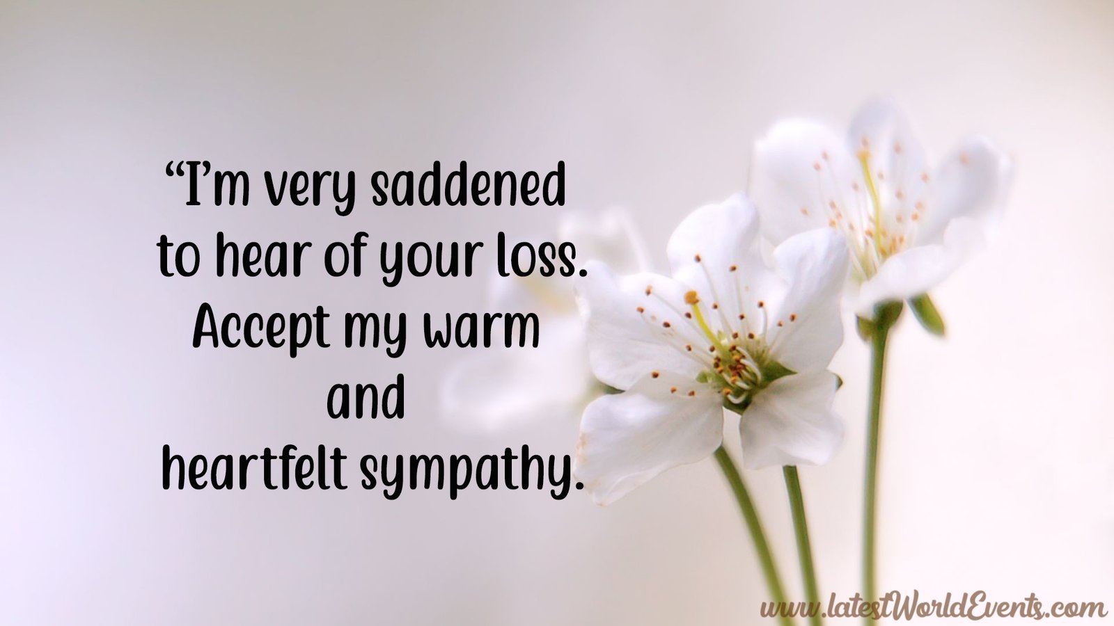 Condolence Quotes For a Friend - Latest World Events