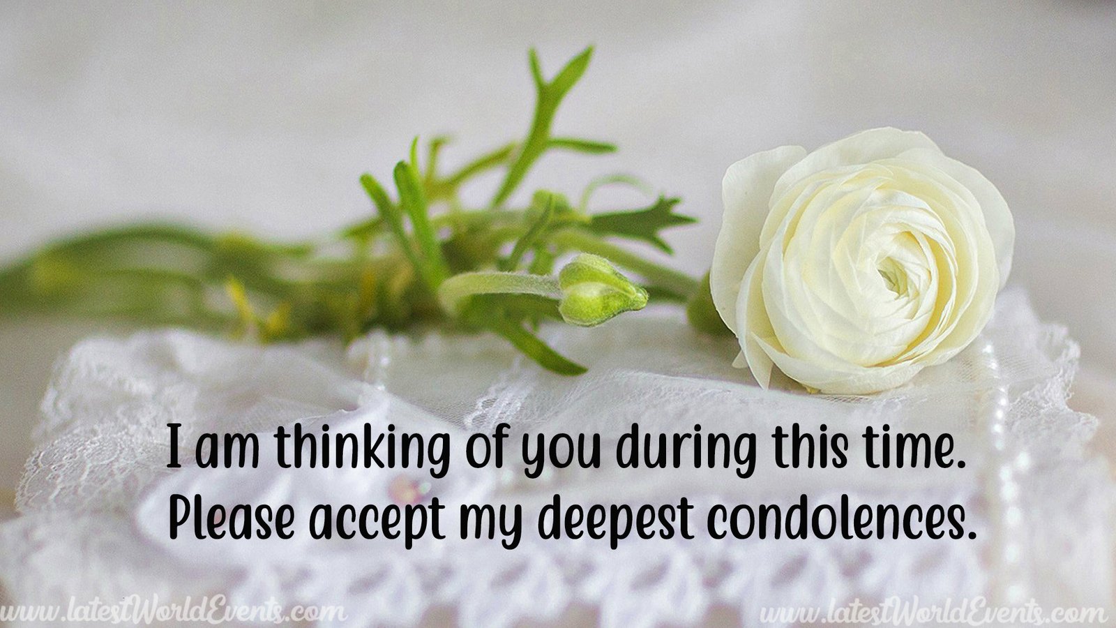 Condolence Quotes For a Friend - Latest World Events