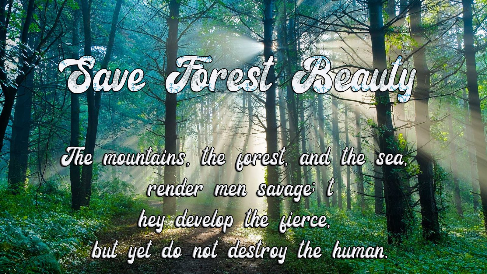 Importance of Forest Day - Latest World Events Images Wallpapers