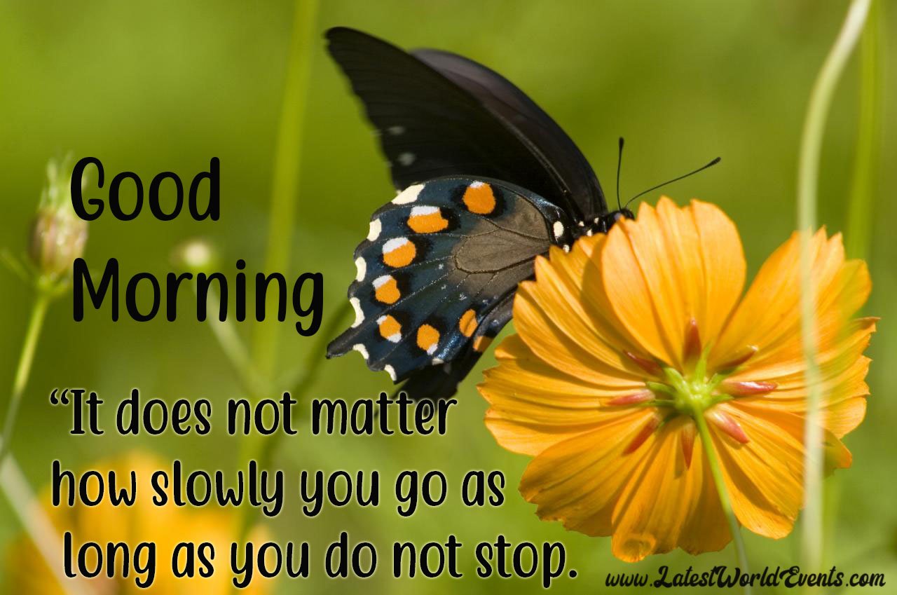 Inspirational Good Morning Quotes & Good Morning Sayings