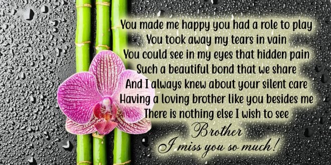 Miss you brother quotes from sister & Miss you brother status