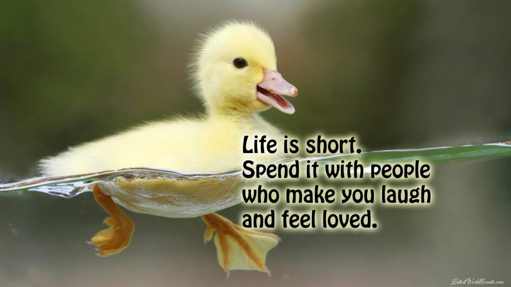 Short wisdom quotes about life & Wise sayings about life lessons