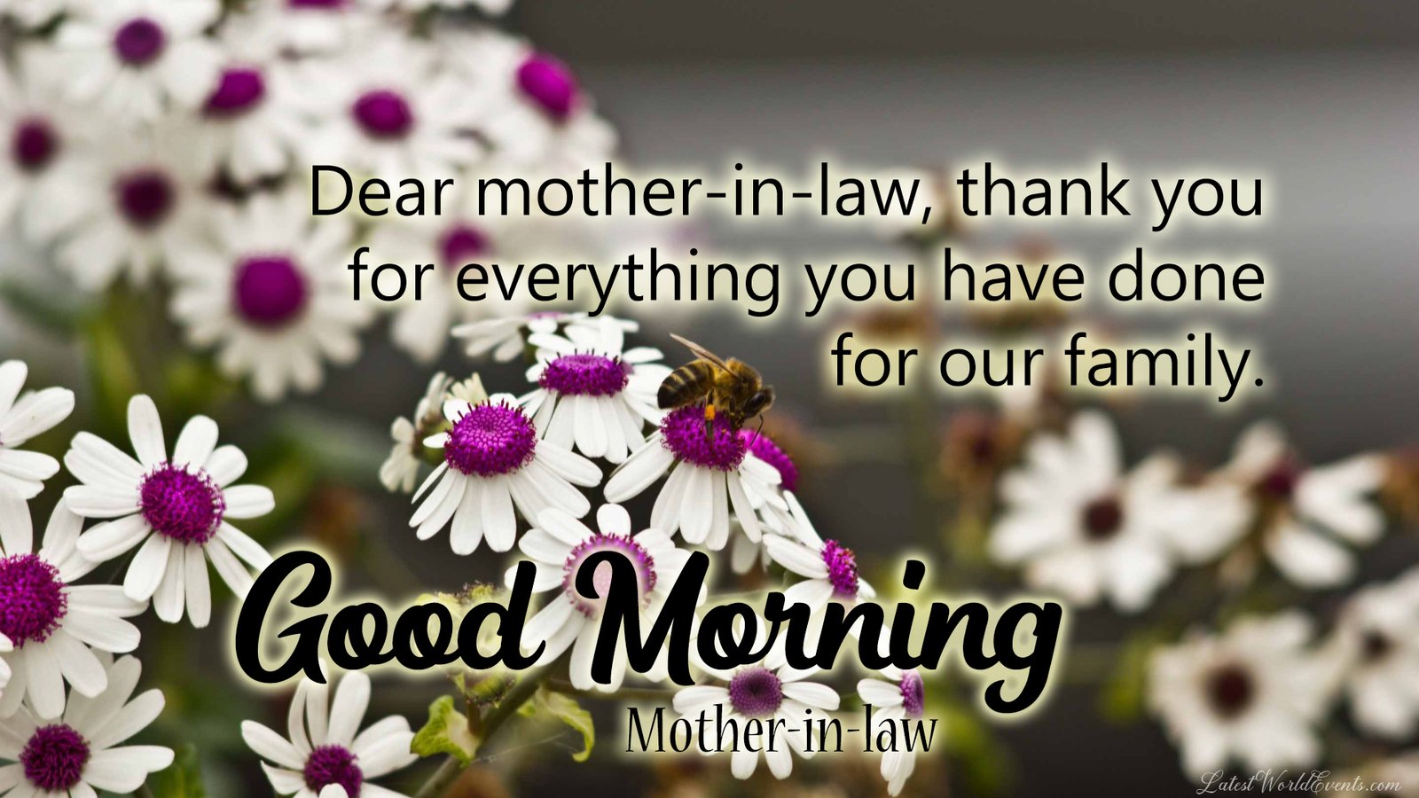 Good morning quotes for mother in law & good morning messages