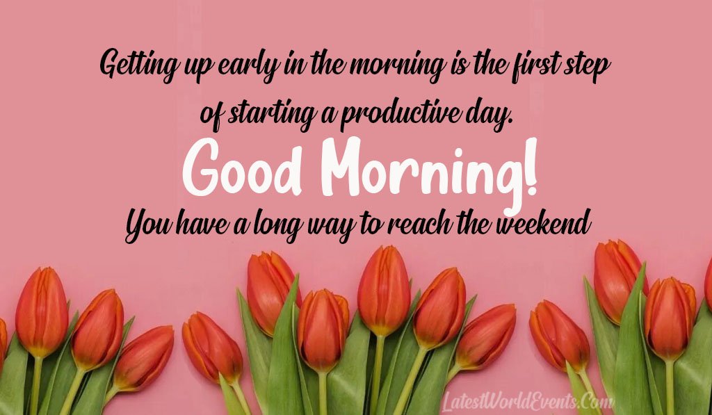 Good Morning Wishes Quotes & Messages - Latest World Events